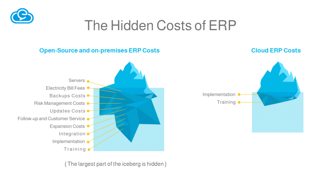 Unmasking The Unseen Navigating The Hidden Costs Of Erp Systems Edara Blog